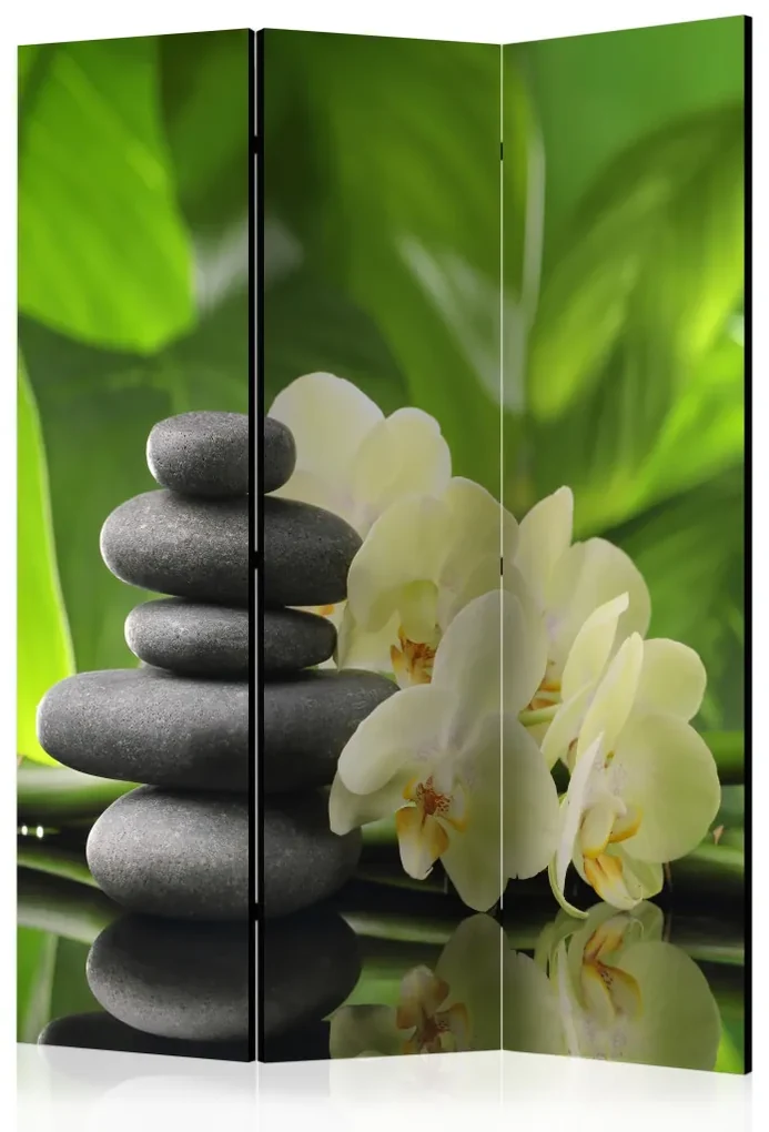 Paravento design Giardino Spa - orchidee e pietre orientali su sfondo ...