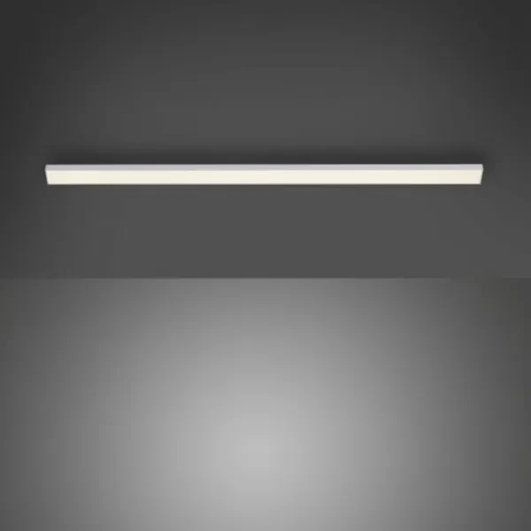 Paul Neuhaus 1125-21-A - Lampada LED AMON LED/6W/12/230V per sottoarmadio | BIANO