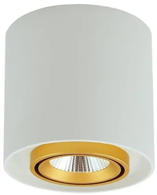 Luce Spot a LED XENO LED/15W/230V bianco 1200lm | BIANO